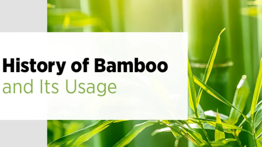 Historical Uses of Bamboo: From Ancient Times to Modern Day - Ethical ...